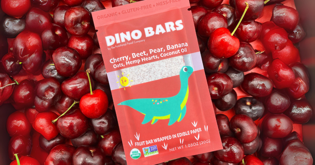 DINO BARS | Organic All-Natural Fruit Bars for Kids 1+