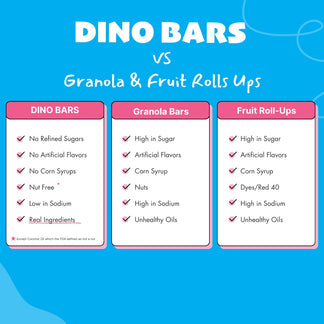 Sweet Potato Raspberry Bar – DINO BARS